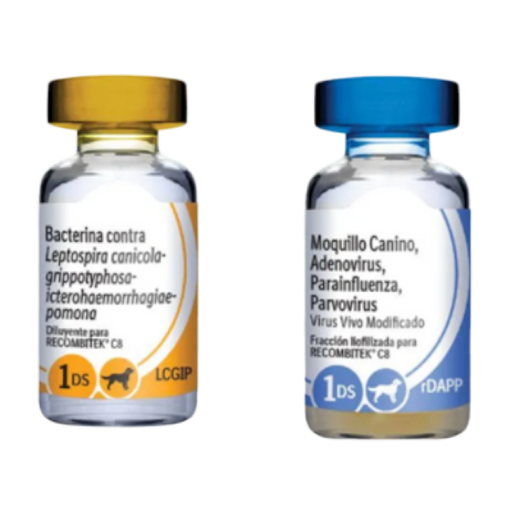 Recombitek C8 – Valbagro